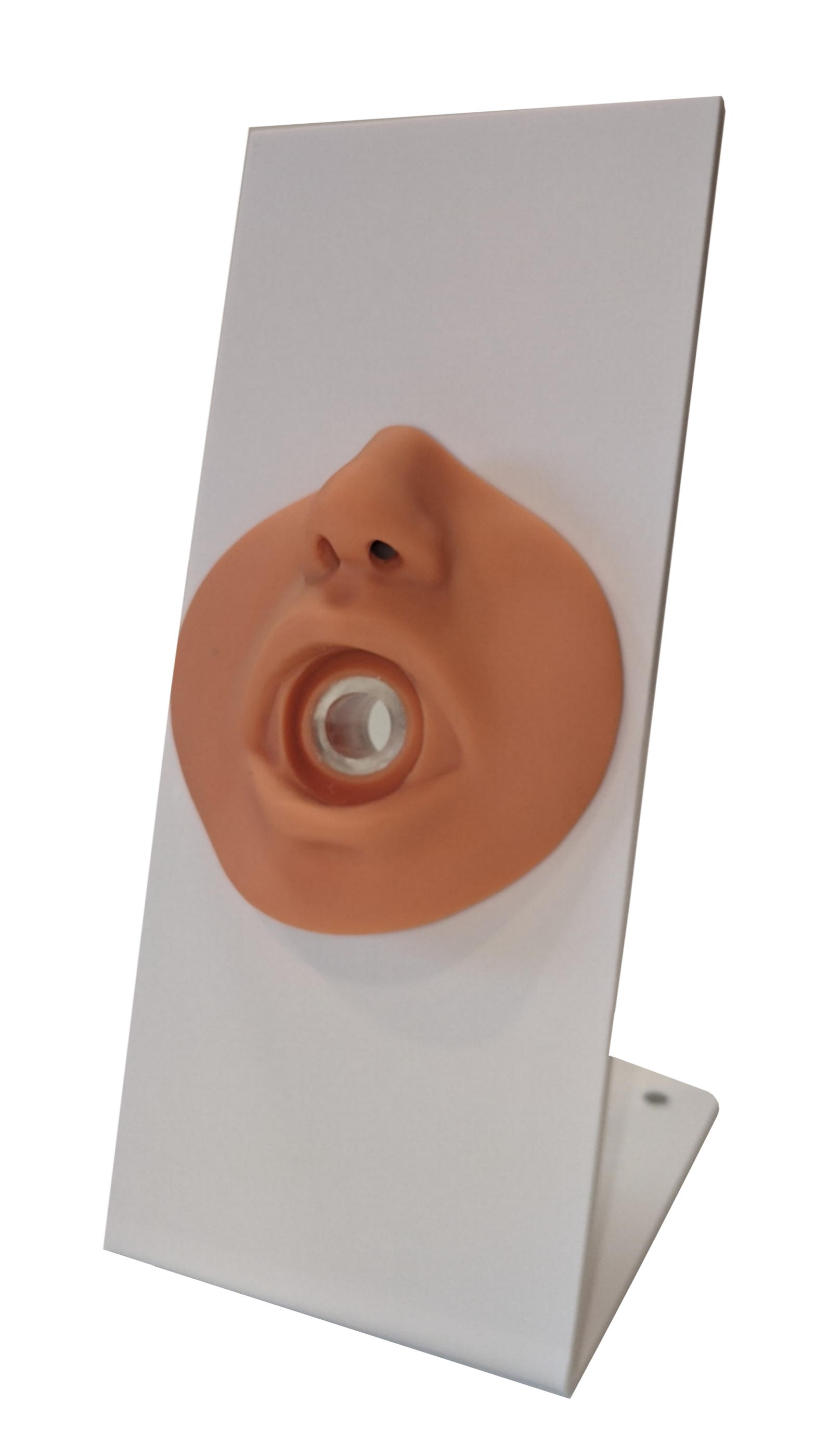 Nursing simulation lab equipment in portable kit – Pristine Medical