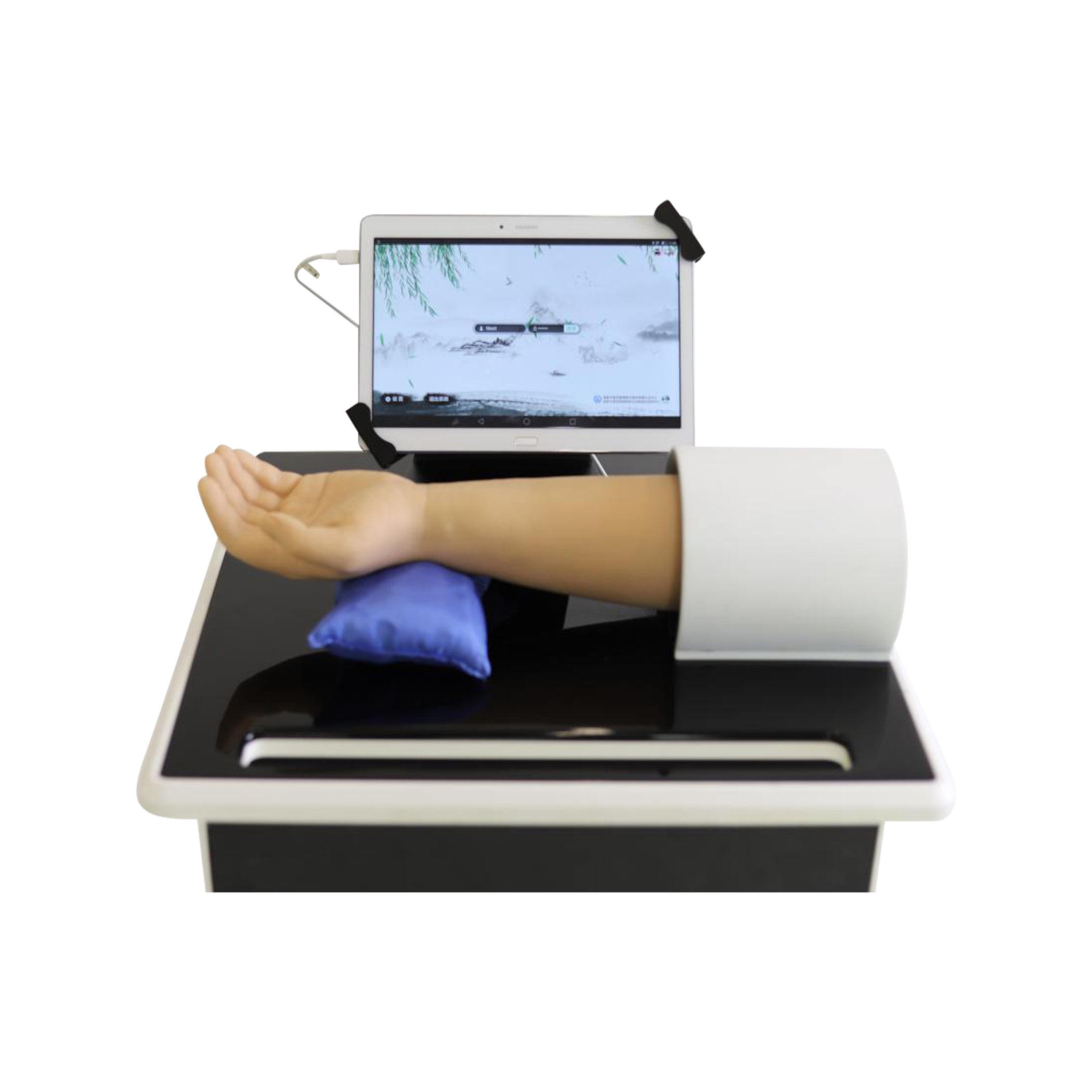 Anatomy Lab Pulse Training Simulator — Pristine Medical