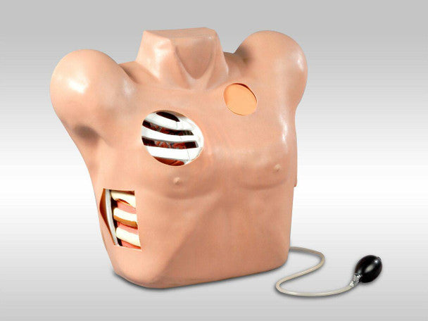 Chest Drain & Needle Decompression Trainer - Pristine Medical