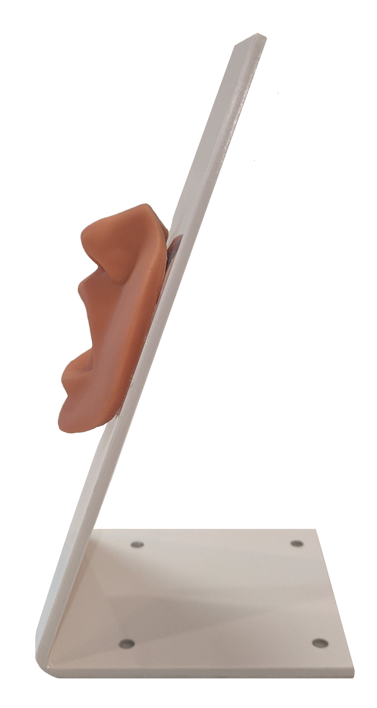 Nursing simulation lab equipment in portable kit – Pristine Medical