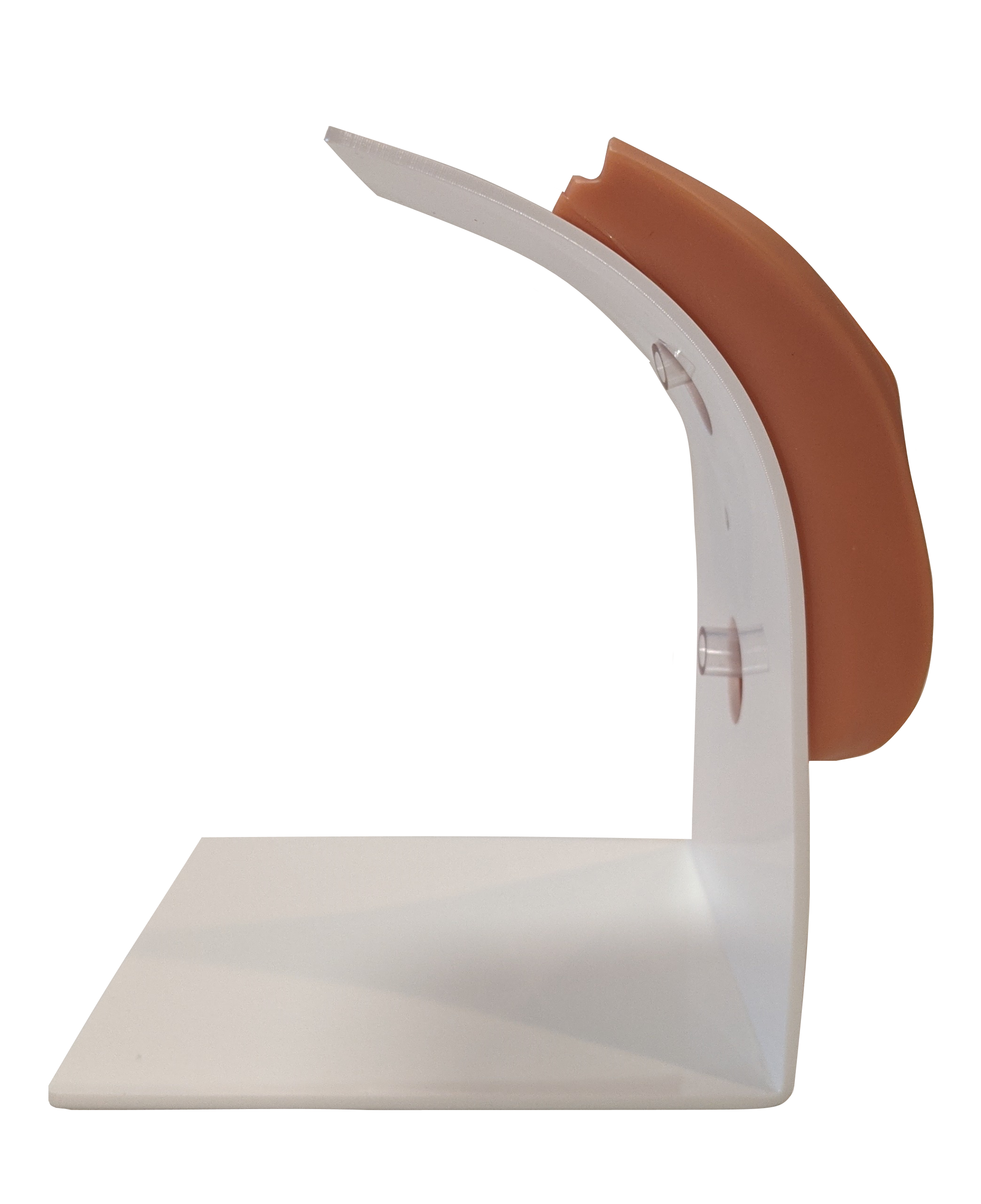 Female Catheterisation Trainer with Stand - Pristine Medical