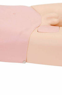 Anatomy Lab Abdominocentesis & Femoral Vein Puncture Simulator ...