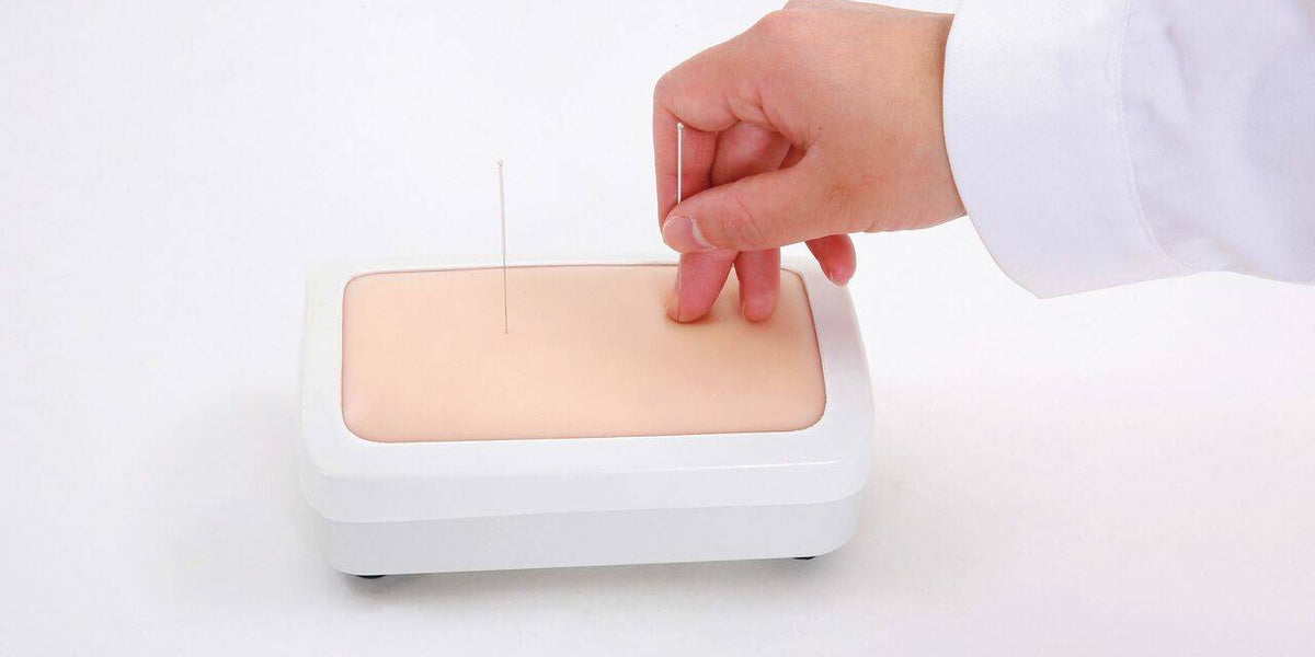 Anatomy Lab Acupuncture Training Model — Pristine Medical