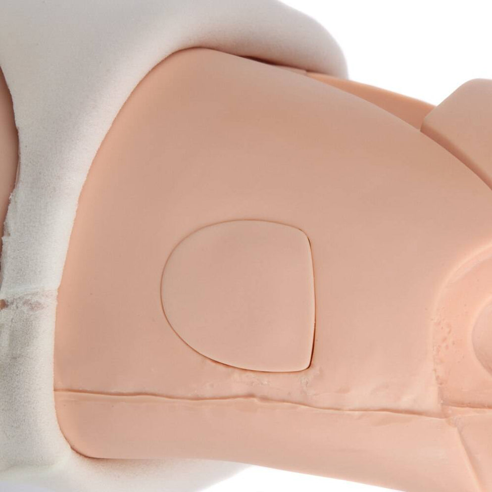 Fundus Assessment Skills Trainer Advanced Model - Pristine Medical