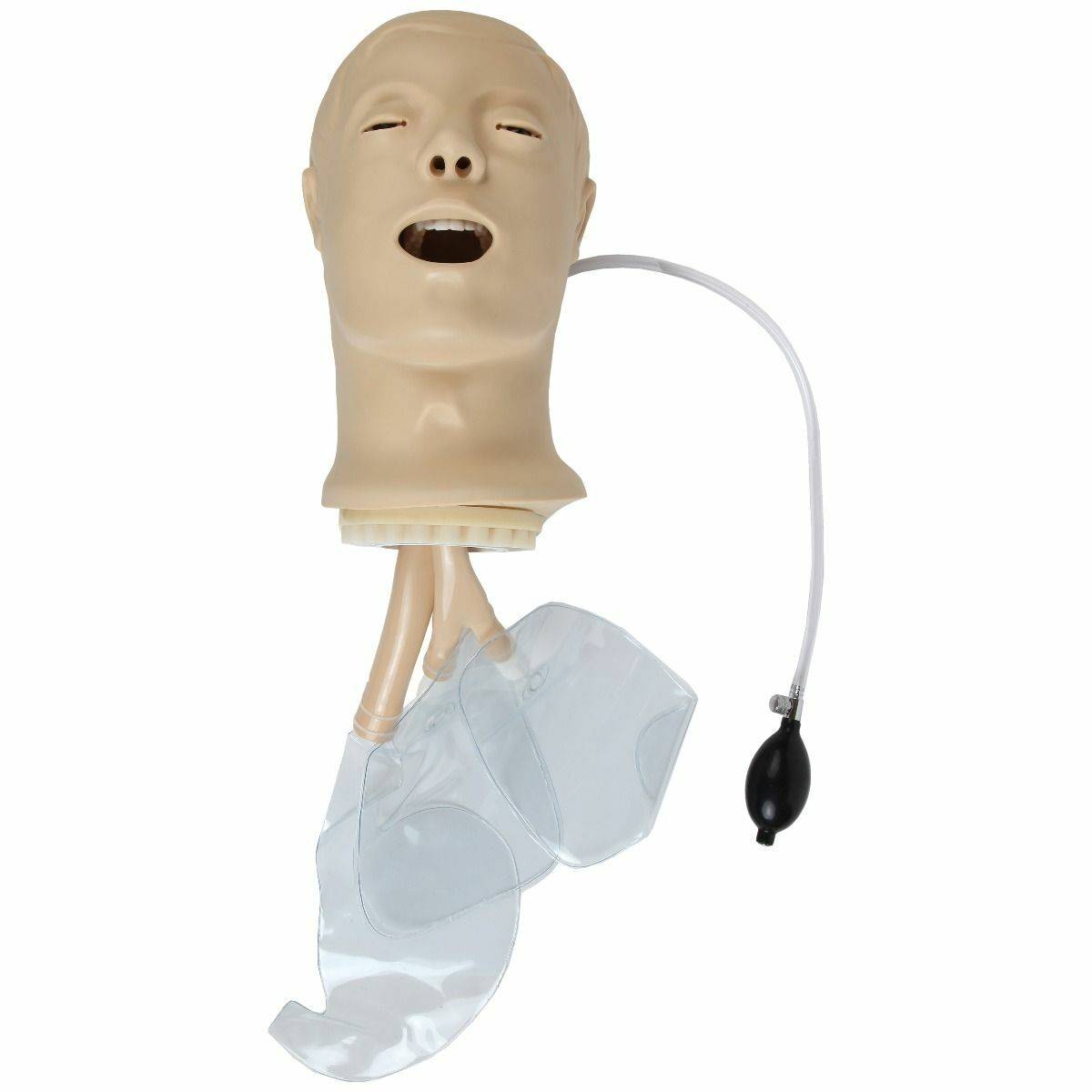 Anatomy Lab Airway Management Trainer — Pristine Medical