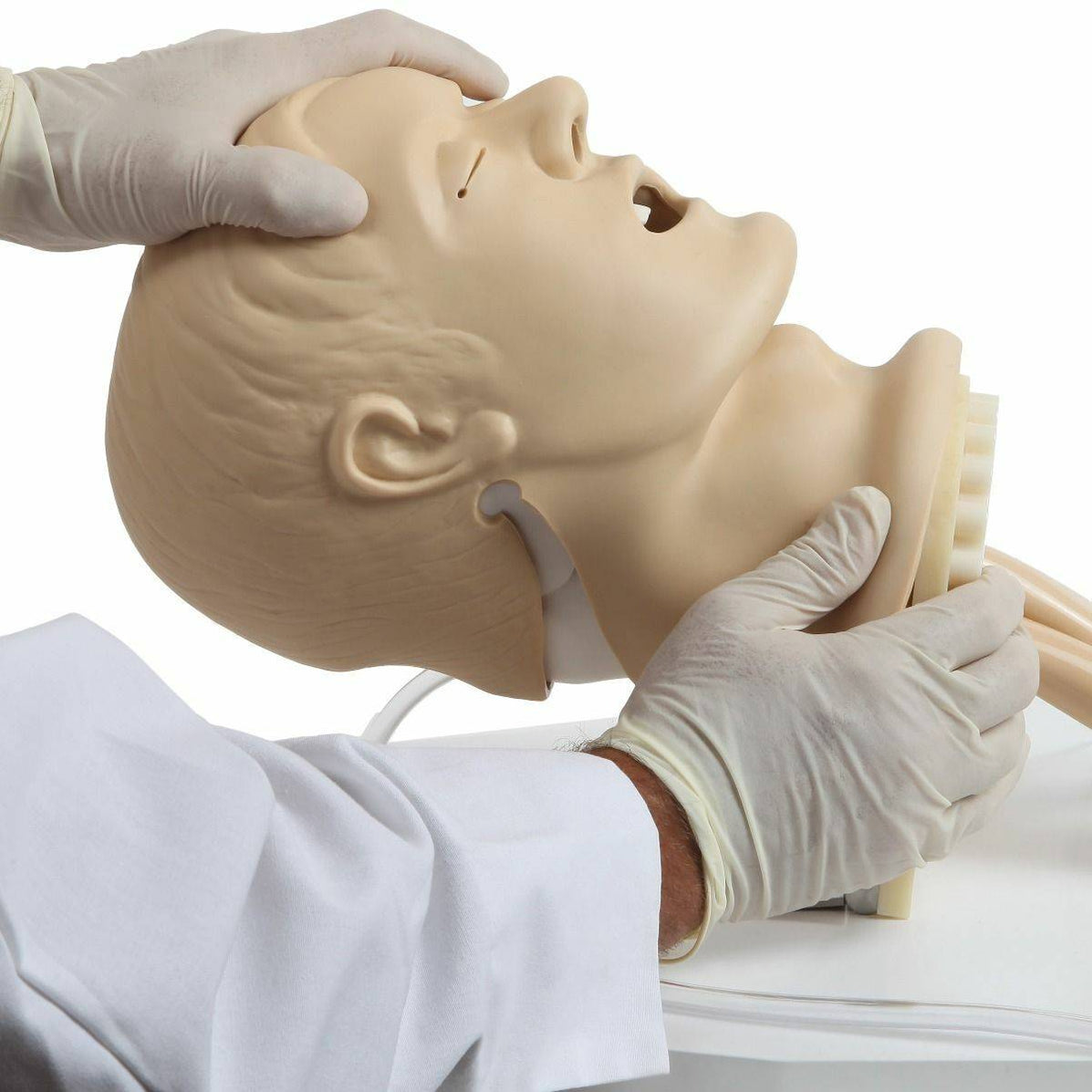 Anatomy Lab Airway Management Trainer — Pristine Medical