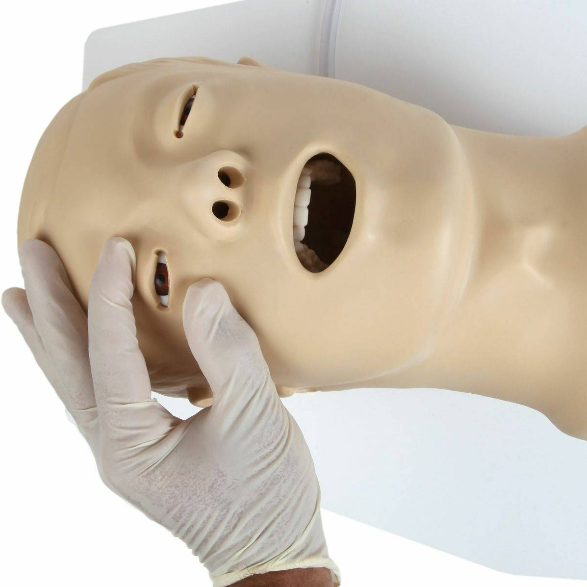 Airway Manikin Head Intubation Training Model - Pristine Medical