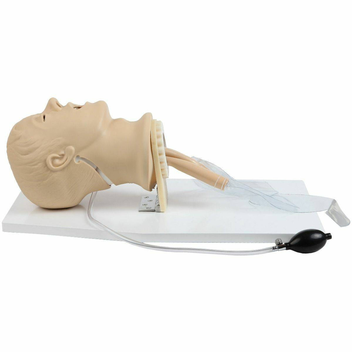Airway Manikin Head Intubation Training Model - Pristine Medical