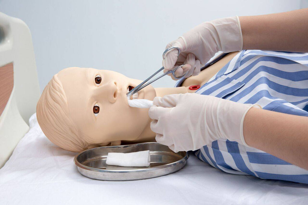 Comprehensive anatomy models and simulators – Pristine Medical