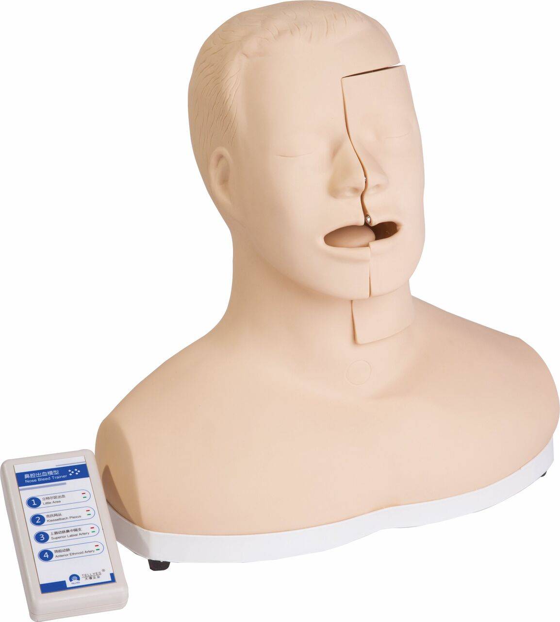 Epistaxis Simulator for Hemostasis Training - Pristine Medical