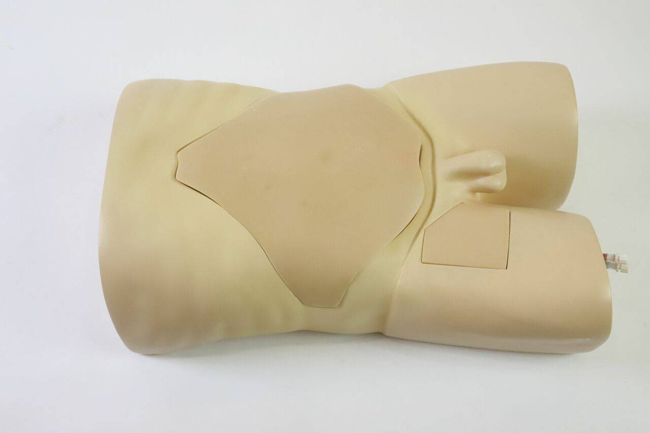 Abdominocentesis Ultrasound Training Model - Pristine Medical