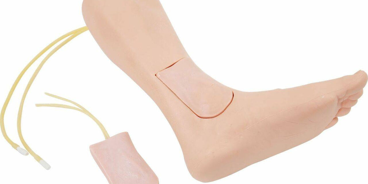 Saphenous Vein Catheterization Trainer - Pristine Medical