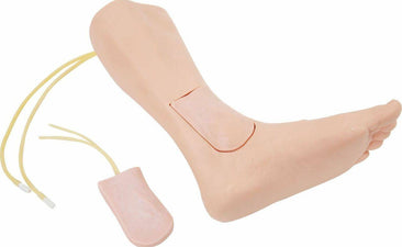 Saphenous Vein Catheterization Trainer - Pristine Medical