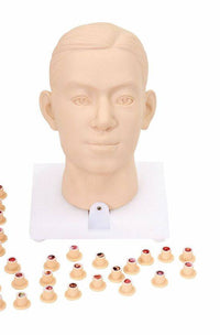 Anatomy Lab Intra-aural Examination Trainer (Binaural) — Pristine Medical