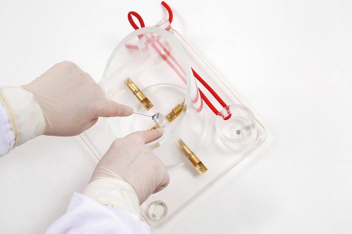 Anatomy Lab Knot Tying Trainer — Pristine Medical