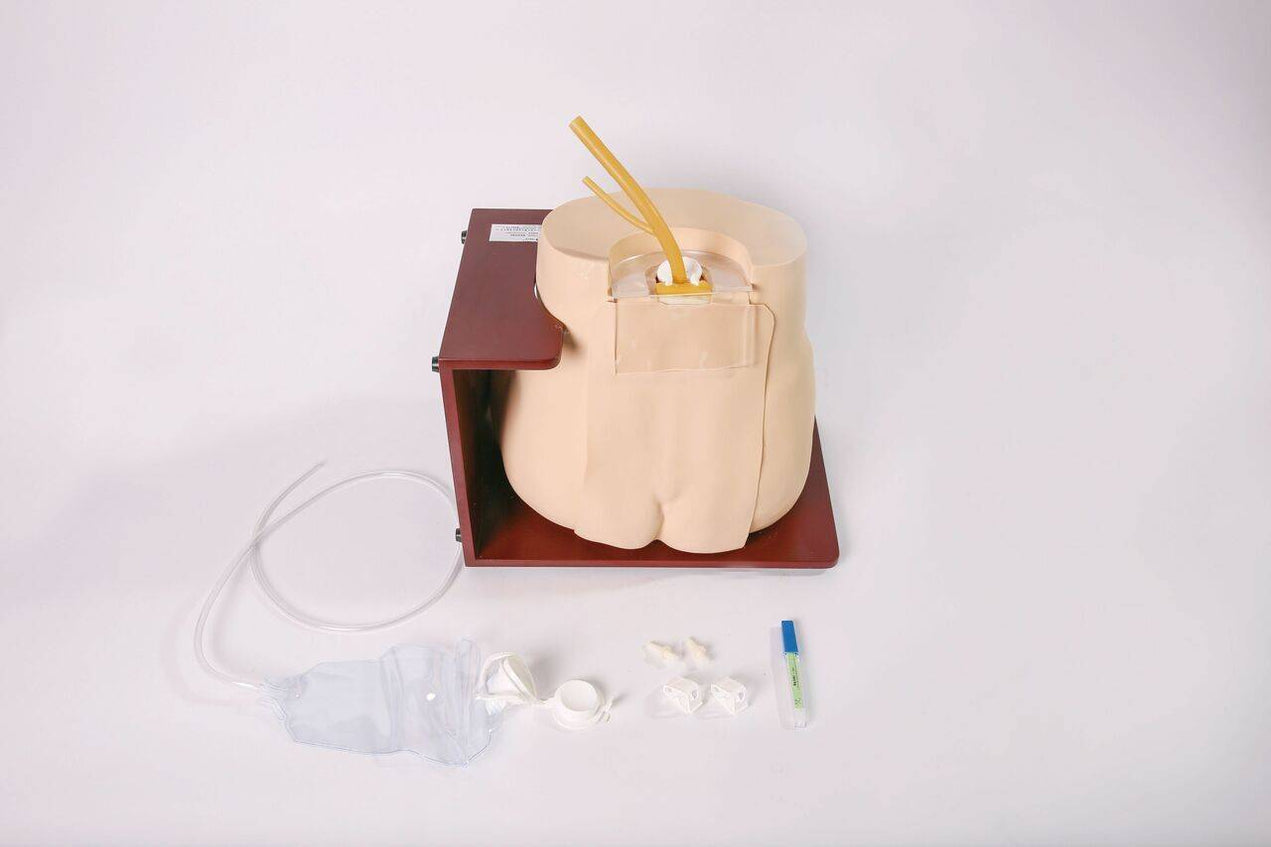 Anatomy Lab Lumbar Puncture Simulator — Pristine Medical