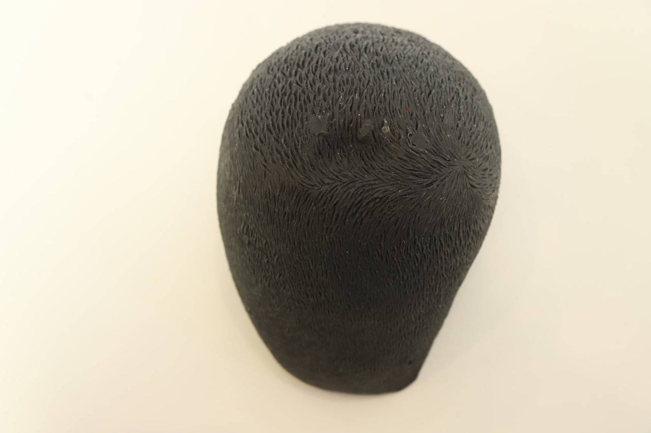 Head Fall Injury Realistic Wearable Moulage - Pristine Medical
