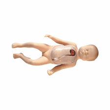 Anatomy Lab Neonatal Peripheral and Central Vein Intubation Model ...