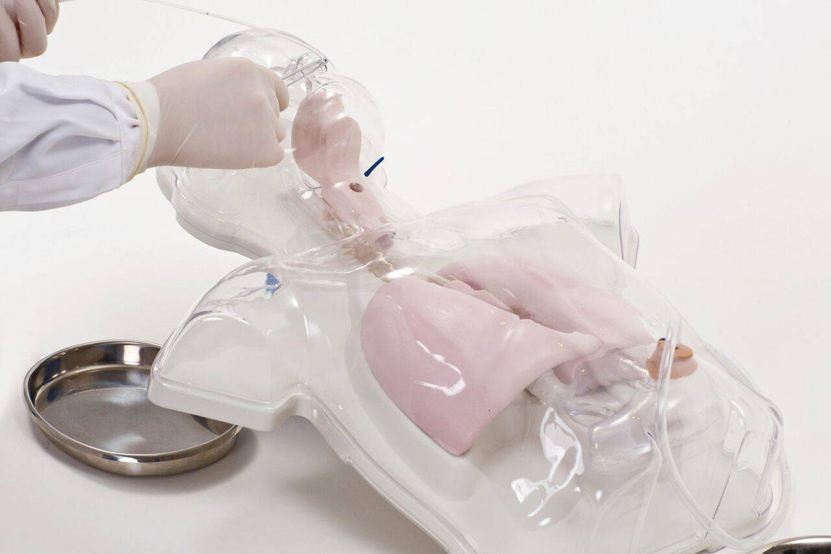 Gastric lavage mannequin for nasal feeding practice - Pristine Medical