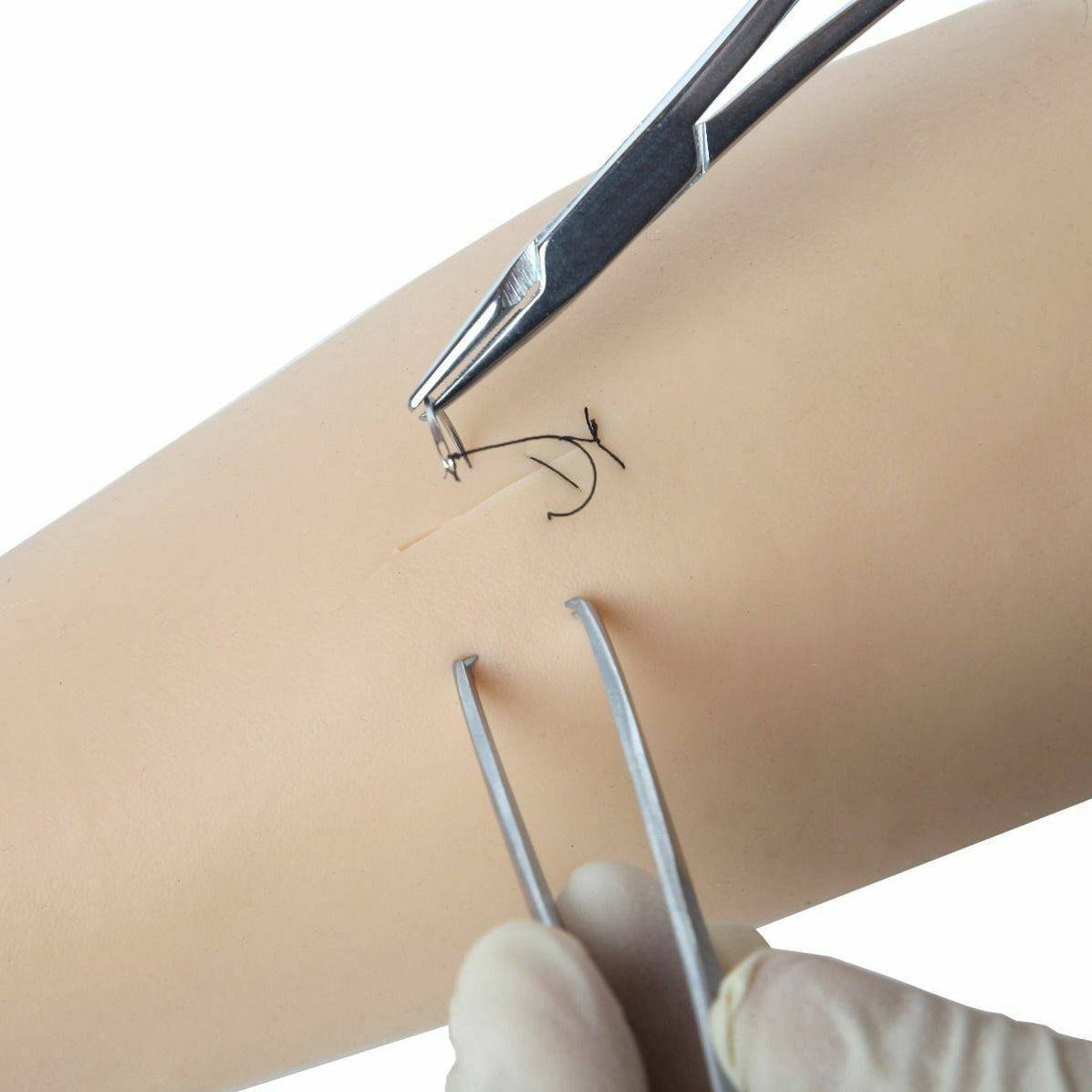 Anatomy Lab Suture Practice Arm — Pristine Medical