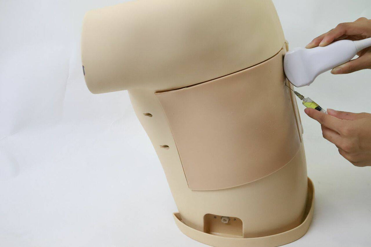 Anatomy Lab Thoracentesis Ultrasound Training Model — Pristine Medical