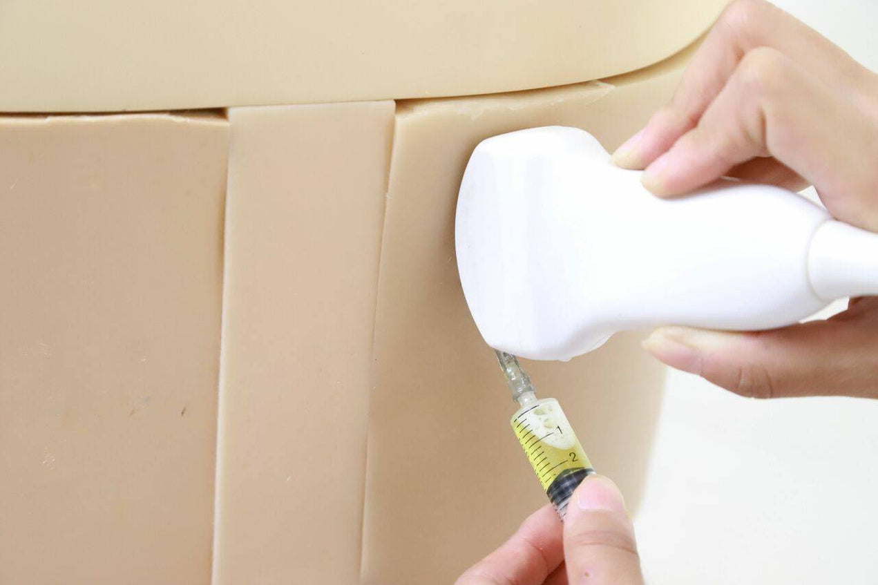 Anatomy Lab Thoracentesis Ultrasound Training Model — Pristine Medical