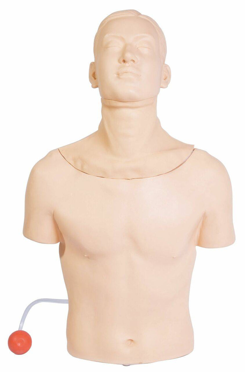 Anatomy Lab Tracheostomy Model — Pristine Medical