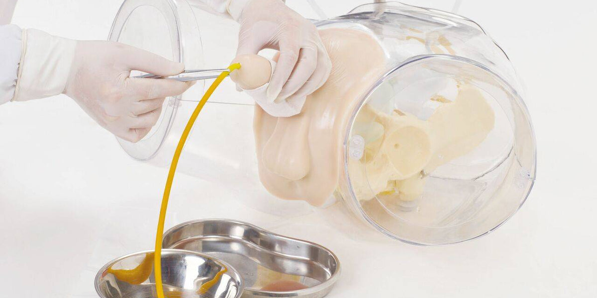 Anatomy Lab Transparent Male Catheterization Model — Pristine Medical