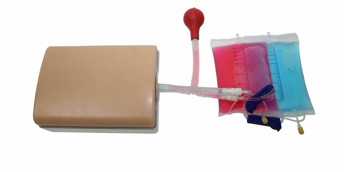 Anatomy Lab Vascular Access Ultrasound Training Model — Pristine Medical