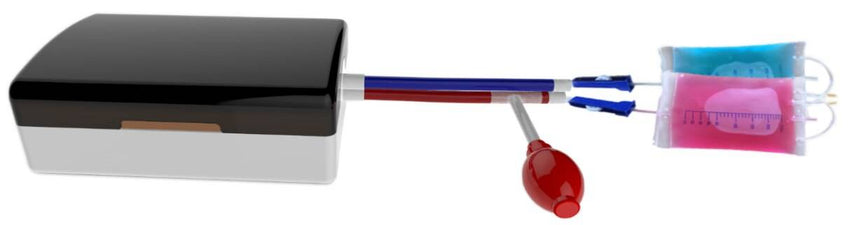 Anatomy Lab Vascular Access Ultrasound Training Model — Pristine Medical