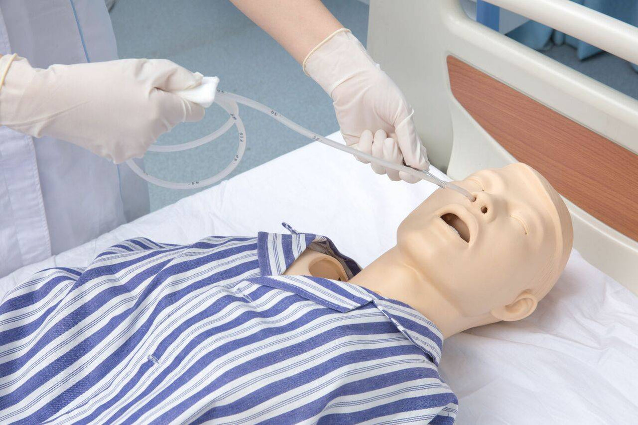 Anatomy Lab Venus Nursing Manikin — Pristine Medical