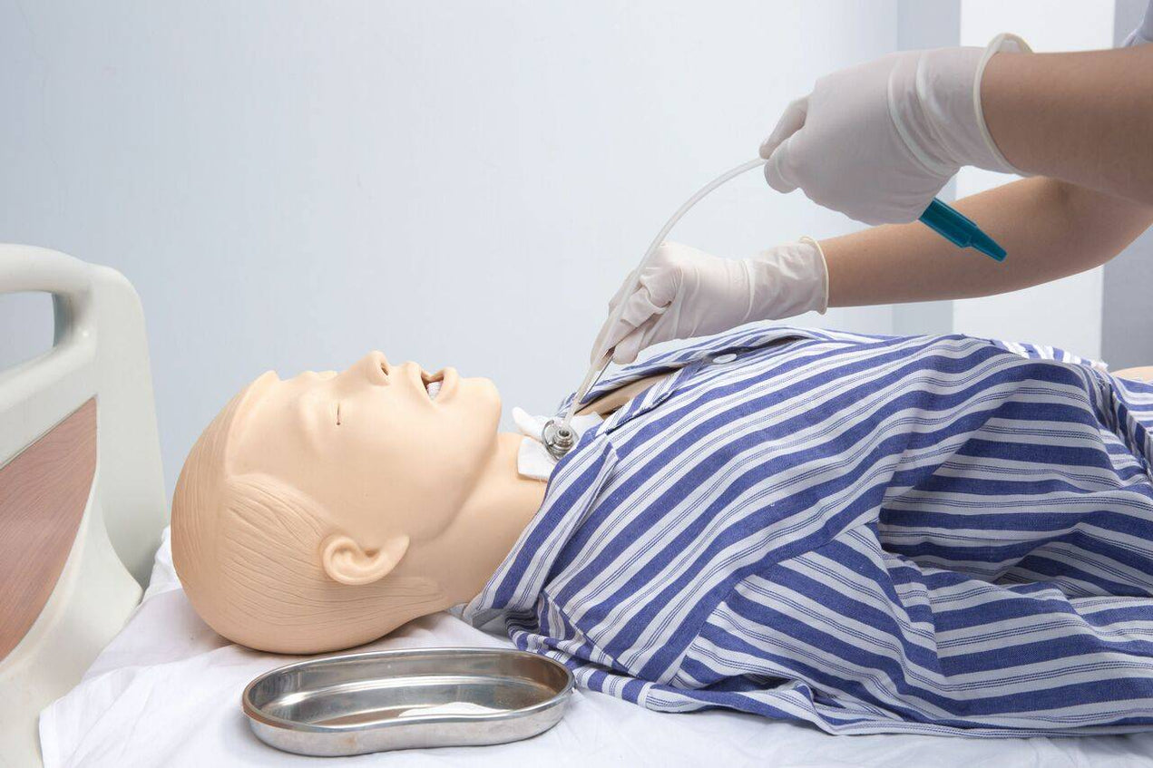 Anatomy Lab Venus Nursing Manikin — Pristine Medical